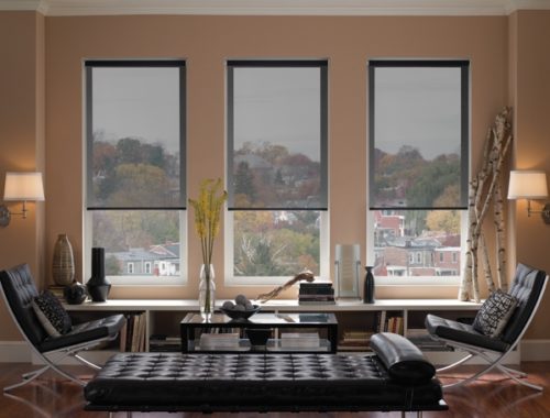 Interior Solar Screens (Fixed) - Ventura Window Coverings